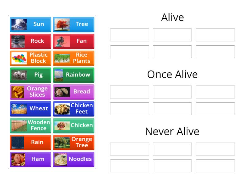 Alive Or Not Sorting Group Sort 
