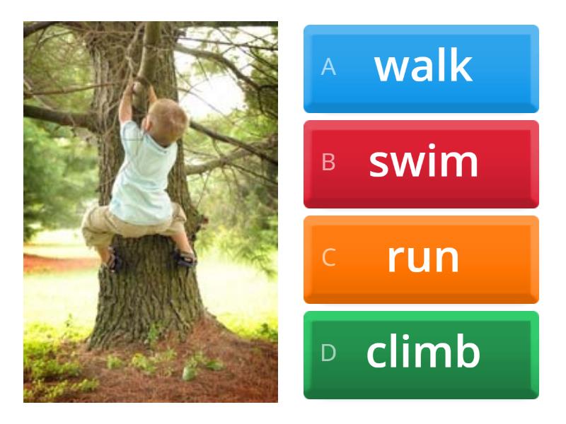 Action Verbs || - Quiz