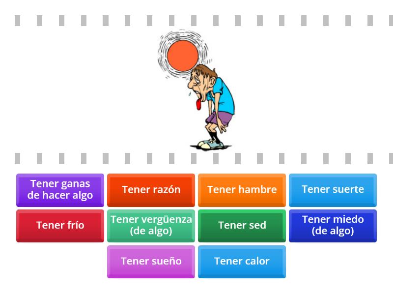 Tener + sustantivo - Find the match