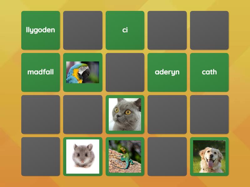 Pets pairs game - Matching pairs