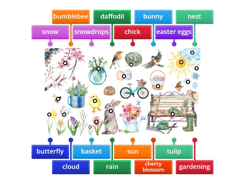 Spring vocabulary - Labelled diagram