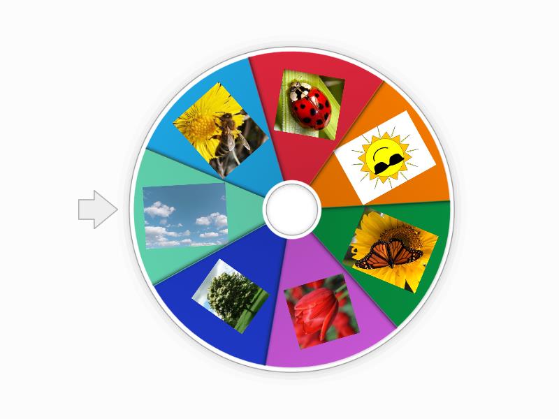 Spring - Spin the wheel