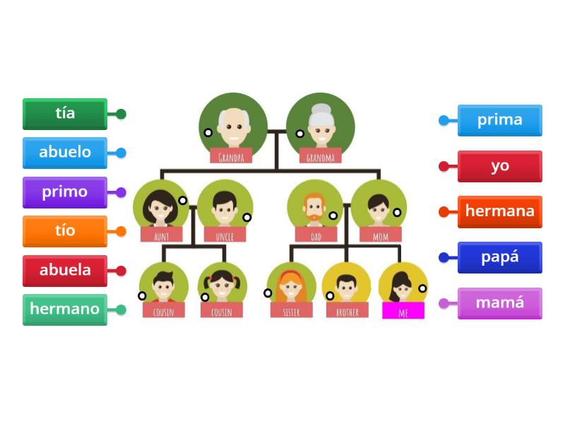 La familia - Labelled diagram