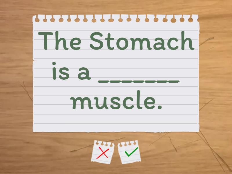 Muscular System - Flash cards