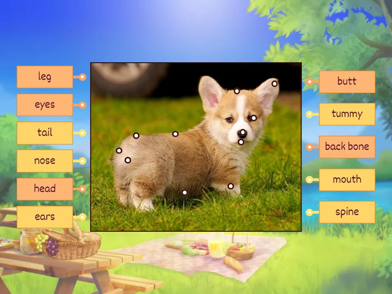 dooooog - Labelled diagram