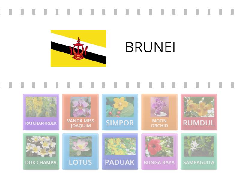 GUESS THE NATIONAL ASEAN FLOWERS - Find the match