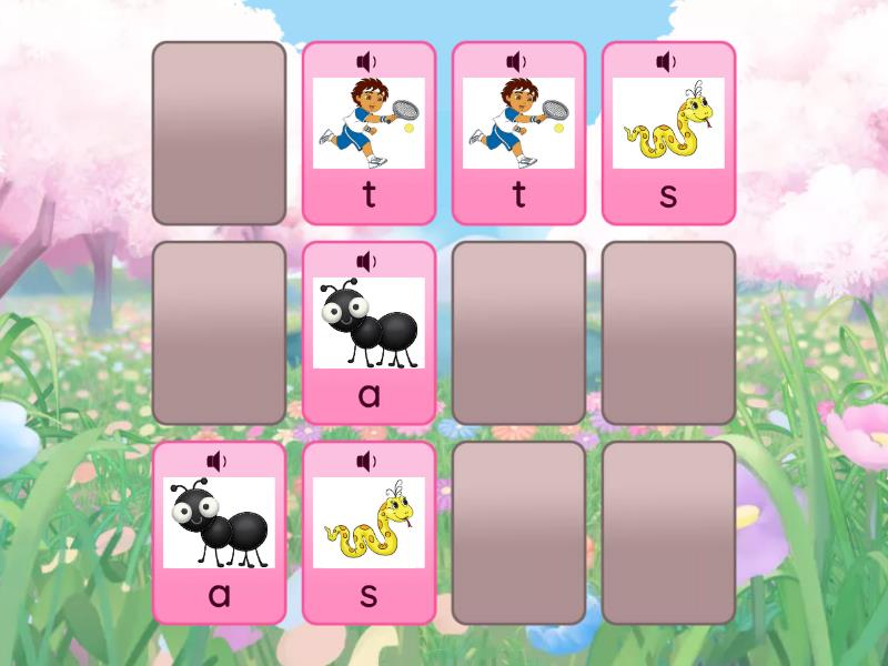 Raccoon Phonics set 1 Pairs - Matching pairs