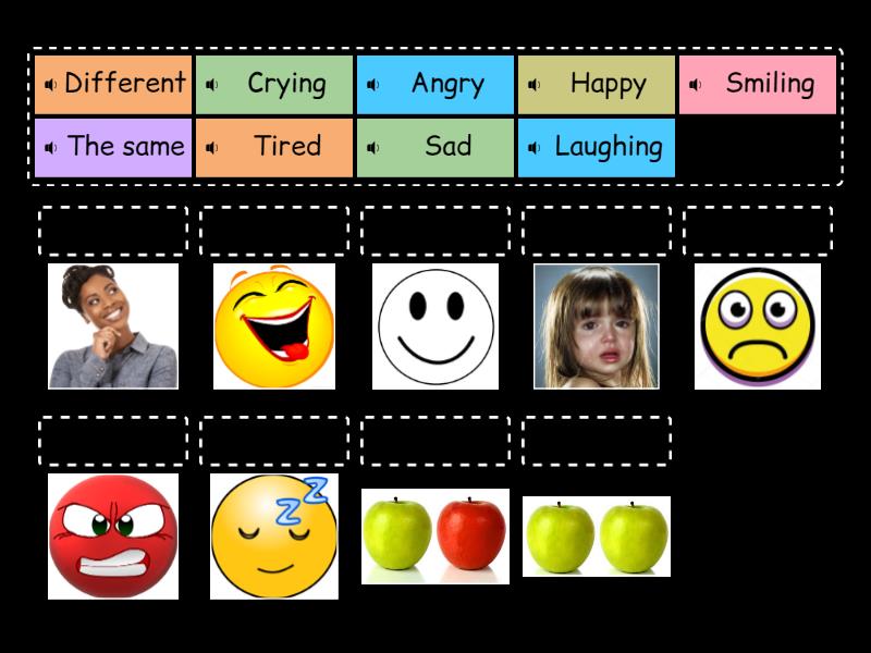 Unit 7 review Kinder 2 - Match up