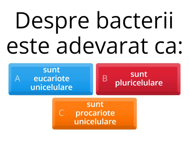 show Bacterii - V - Quiz