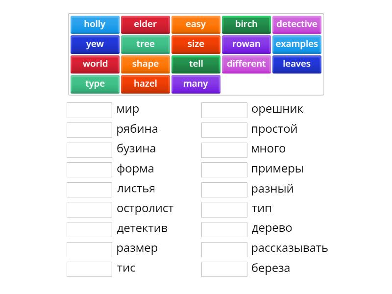 Tree detectives - Match up