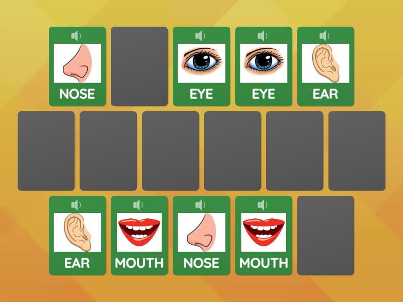 Memory game - Body parts 1 - Matching pairs