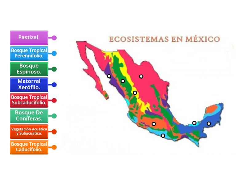 Ecosistemas En Mexico - Labelled diagram