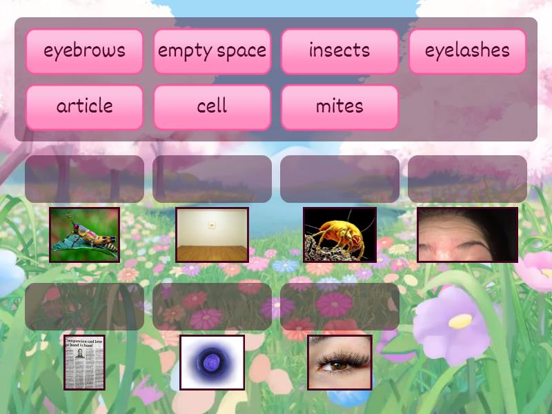 Karolina_B1_1 - Match up