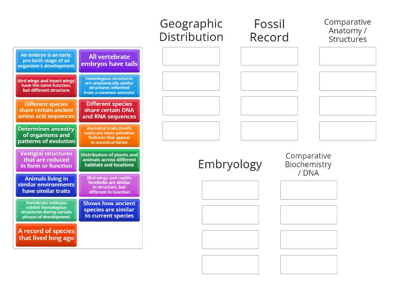 JW Level 4 of Evidence of Evolution - Group sort