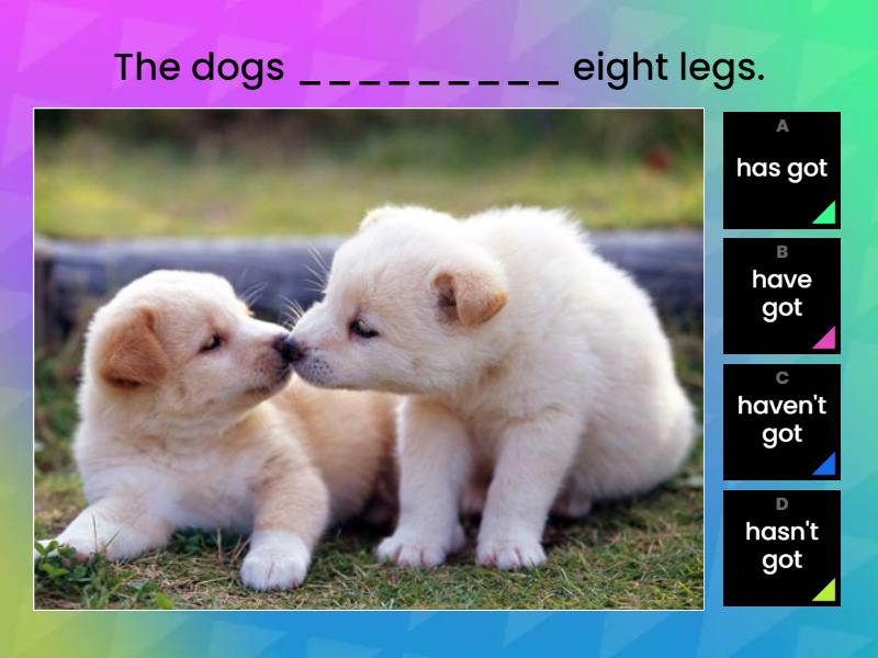 Go Getter 1. U4 Have got/has got + Appearance - Quiz