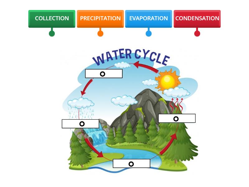 5 - WATER CYCLE - Labelled diagram