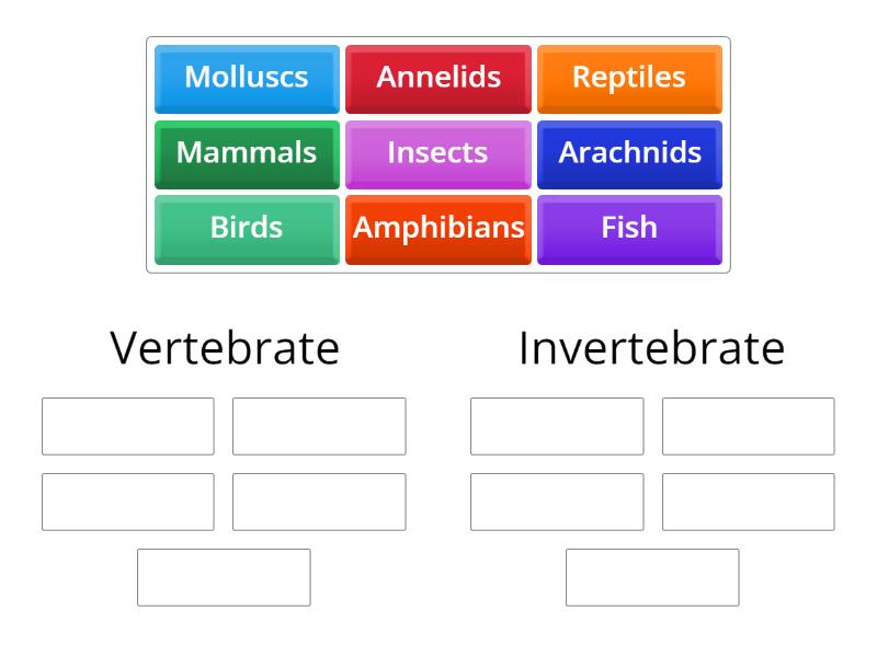Sorting activity for vertebrates and invertebrates - Group sort
