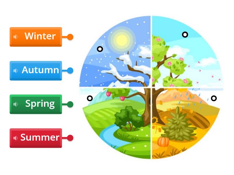 Label the Season Vocabulary Drills Level A1 - Labelled diagram