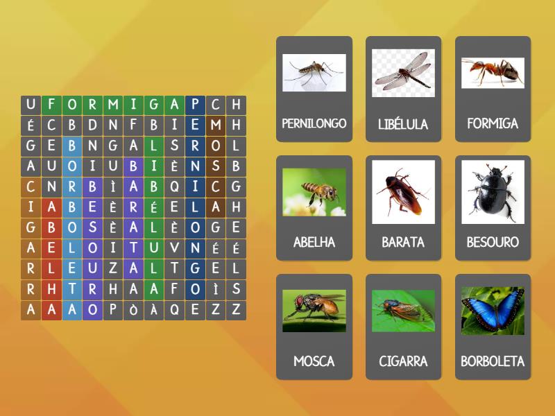 INSETOS - Sopa de letras