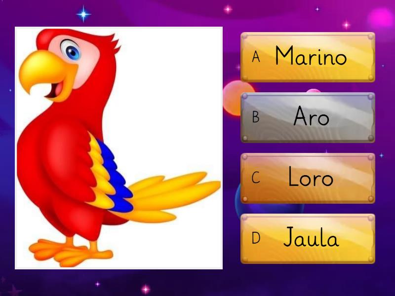 Método Matte Lección 5. Loro - Cuestionario