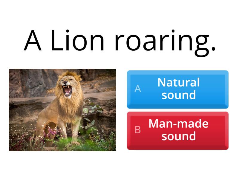 Natural sound or Man-made sound - Quiz
