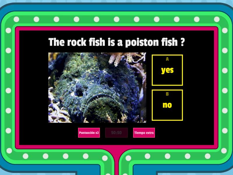 THE ROCK FISH - Gameshow quiz