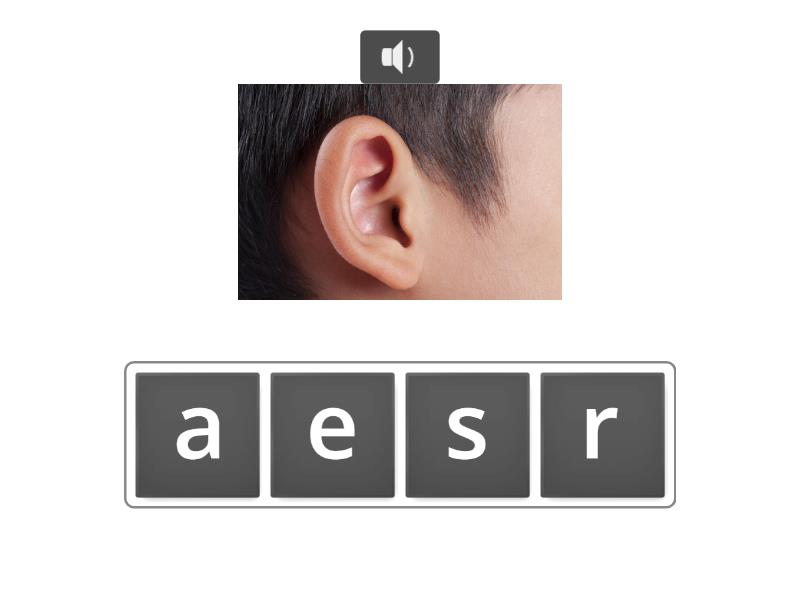 Team Together 1 unit 4 Face - Anagrama