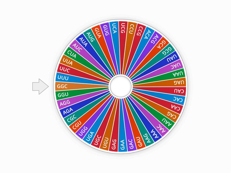 Codon wheel - Spin the wheel