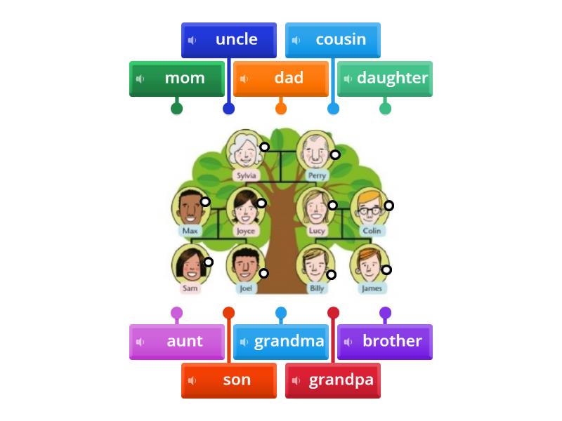 Family Tree - Labelled diagram