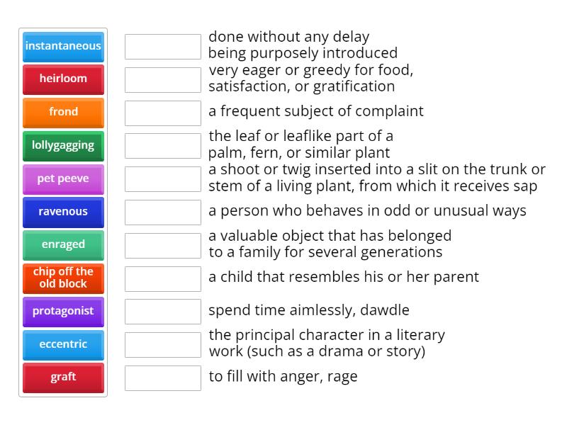 Vegetable Museum Vocab - Match up