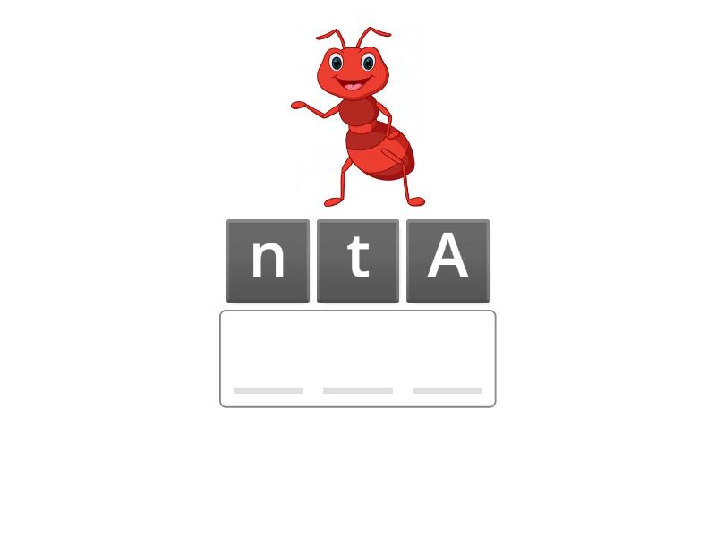 Spell the animal's name - Anagram