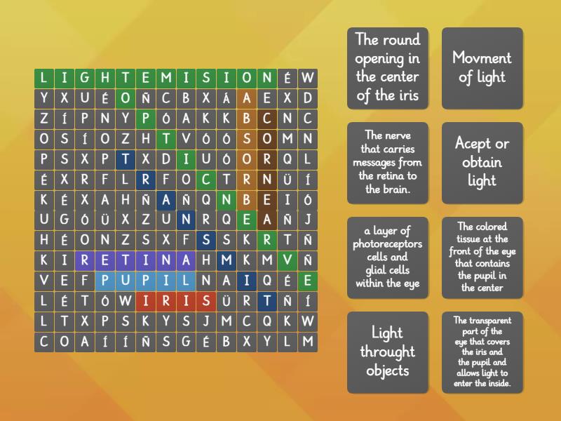 Human eye - Wordsearch