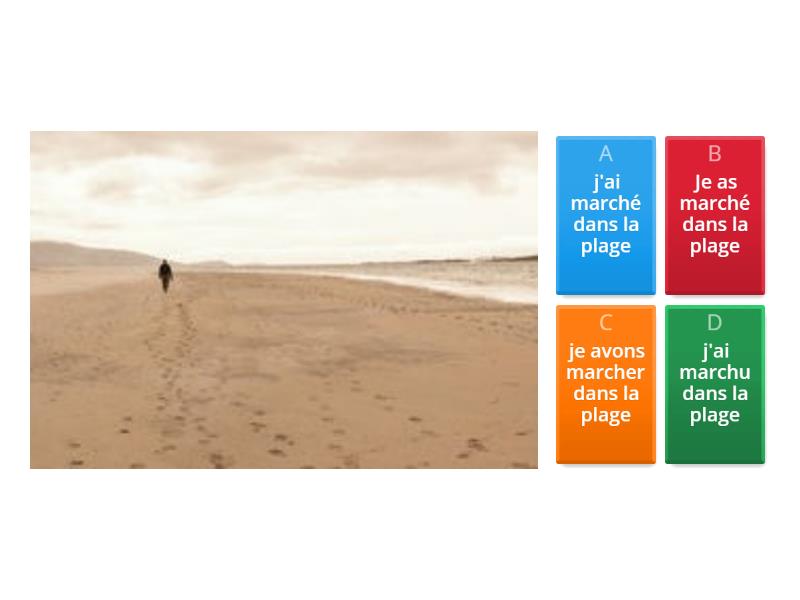 MES VACANCES PHOTOS (passé composé avec avoir) - Quiz