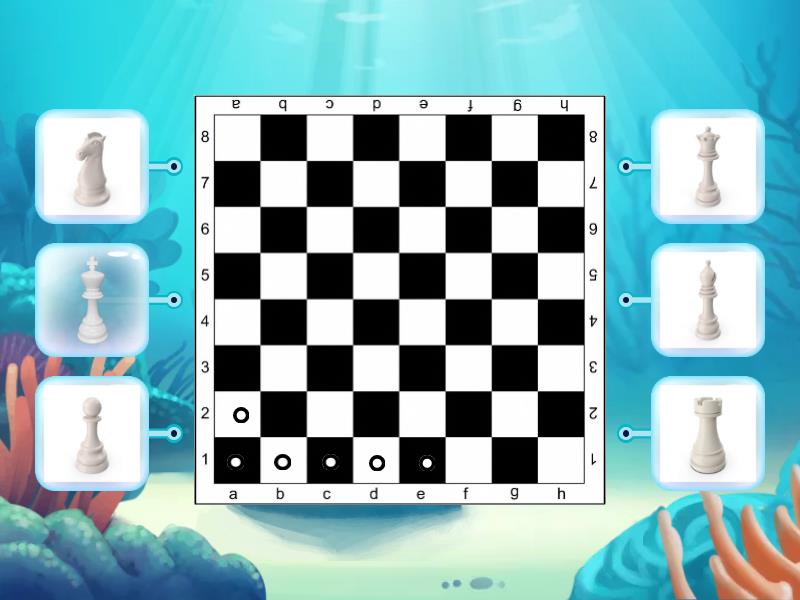 Chess: set up position. - Labelled diagram