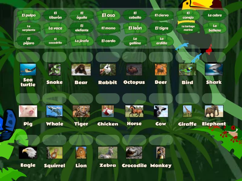Los animales - Match up