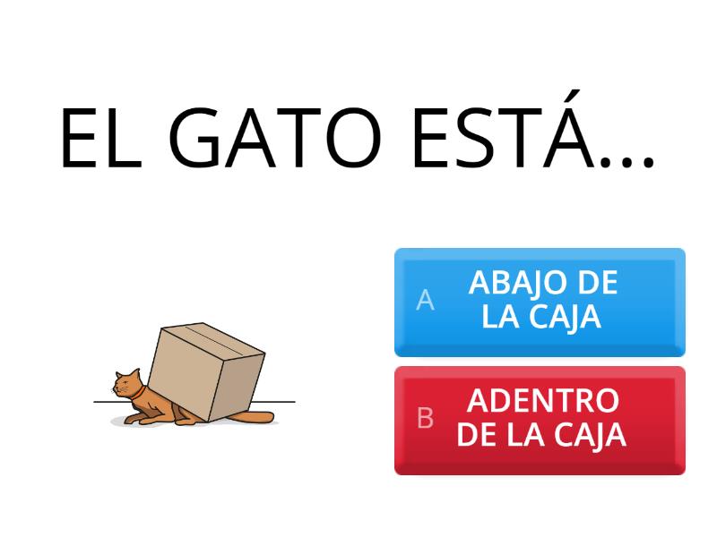 ¿Dónde está el gato? - Cuestionario