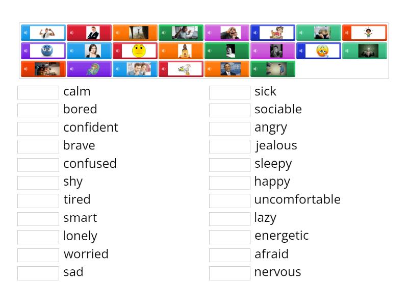 Feelings and Emotions - Match up