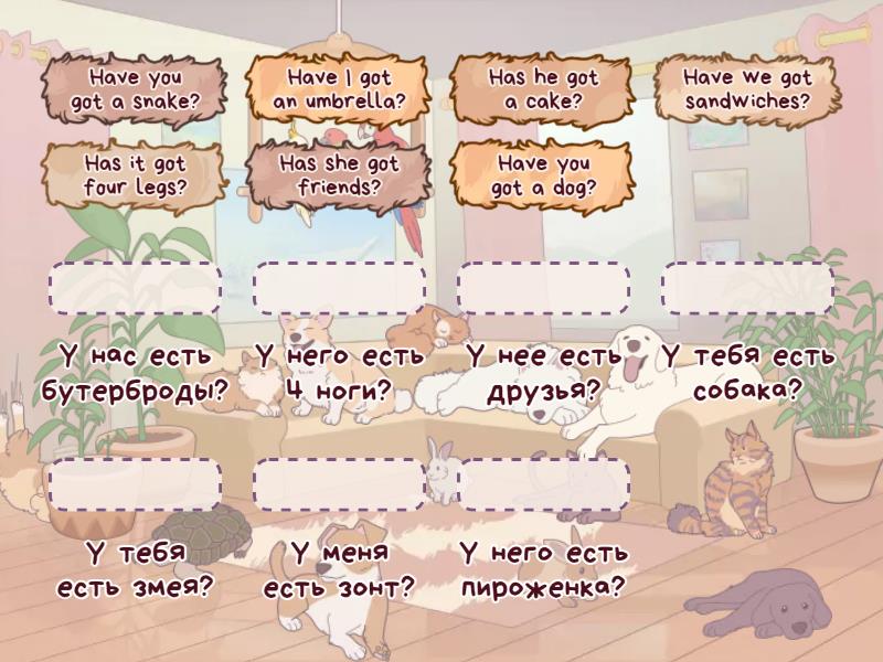 have got has got questions - Match up