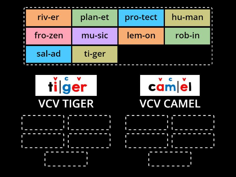 VCV - Tiger or Camel? copy - Group sort