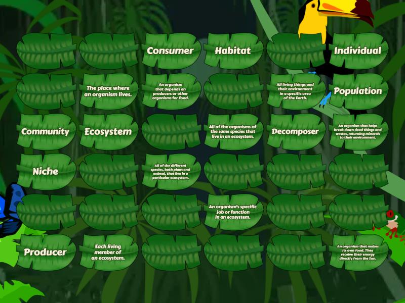Ecosystems - Matching pairs