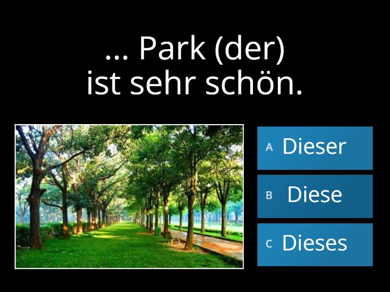 Dieser, dieses, diese - Вікторина