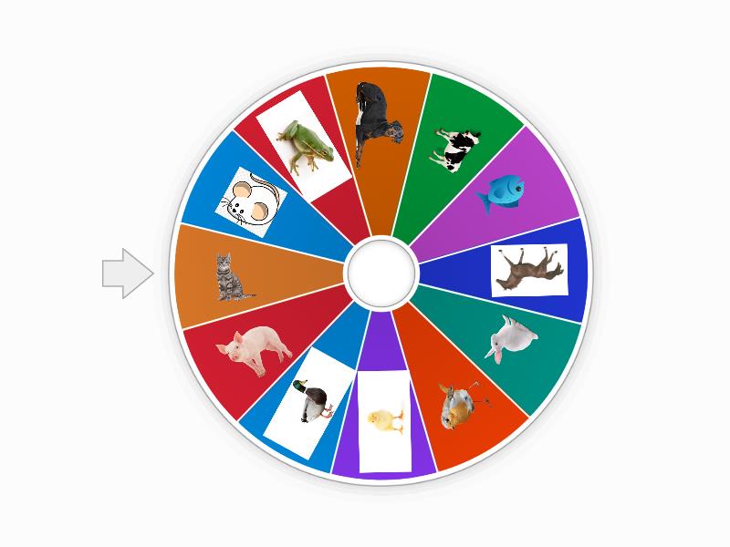 pet animals wheel - Spin the wheel