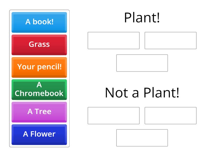 Plant Or Not A Plant! - Group sort
