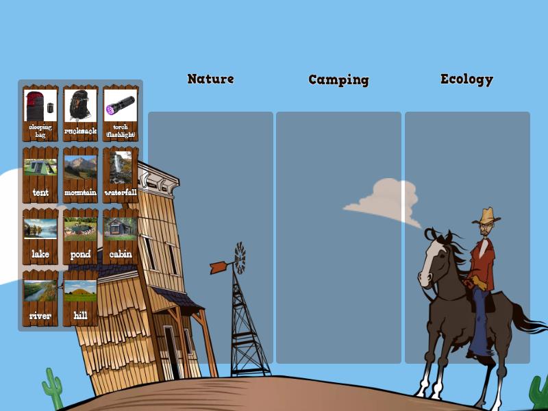 Unit 7 Camp - Categorize