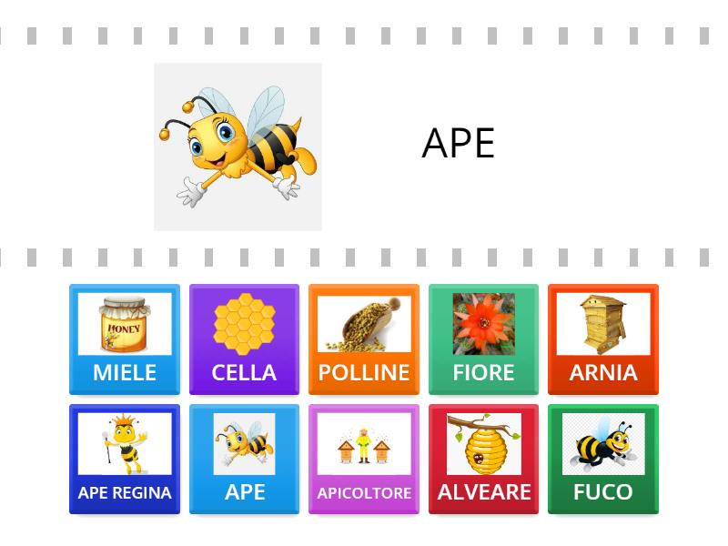 ABBINA-API - Find the match