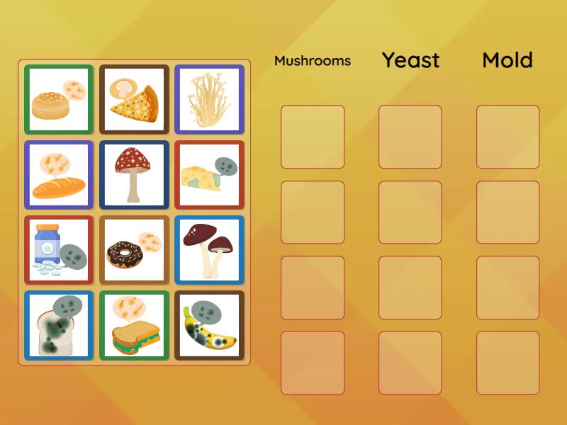 [S4-U1L2PA] Exercise 2: Look and read. Then drag the pictures into the correct columns. - Group sort