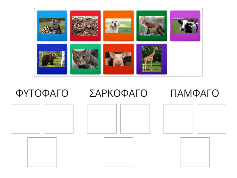ΕΙΔΗ ΖΩΩΝ - Group sort