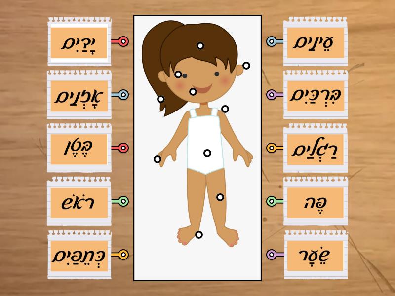 Body Parts - Hebrew Script - Labelled diagram