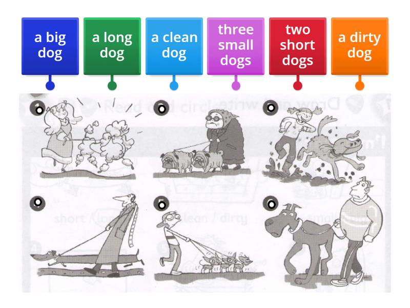 My pets adjectives - Labelled diagram