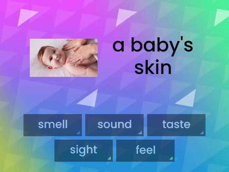 Roadmap B1 2B Senses match Pics - Find the match